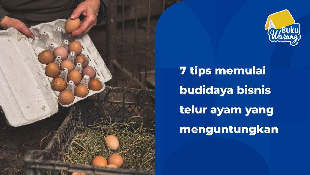 √ Panduan Budidaya Ayam Petelur Untuk Pemula Hingga Untung!